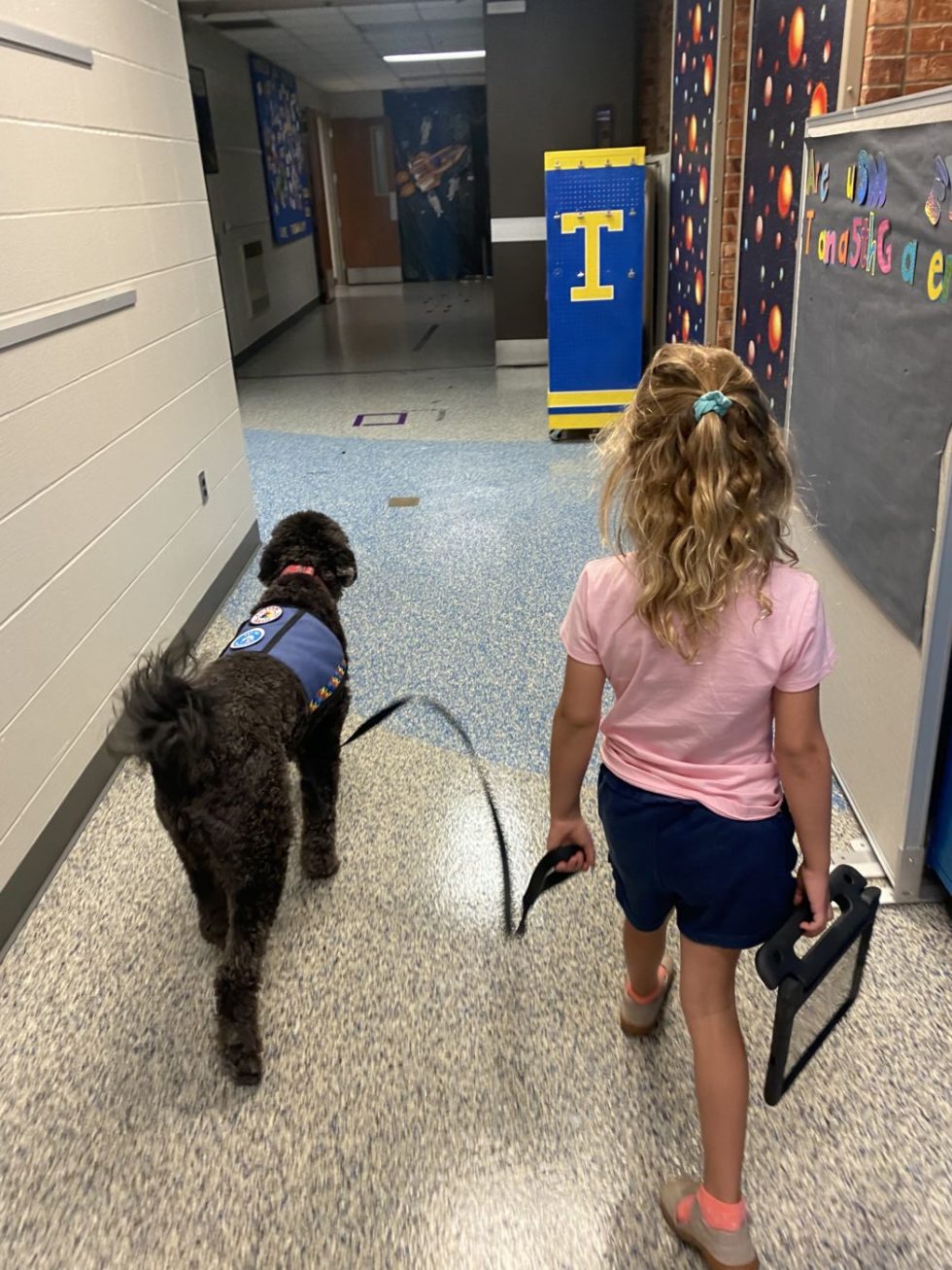 3 Ways to Remove the Supporting Adult - The Autism Helper