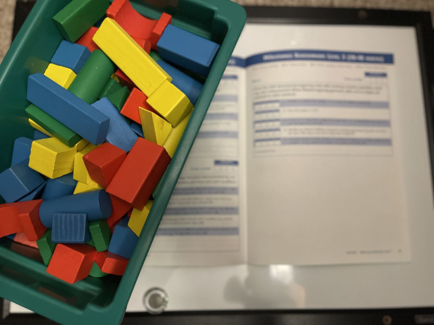 How To Use The VB-MAPP - The Autism Helper