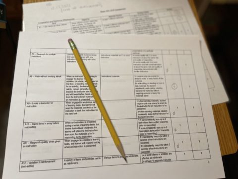 How to use the ABLLS-R - The Autism Helper