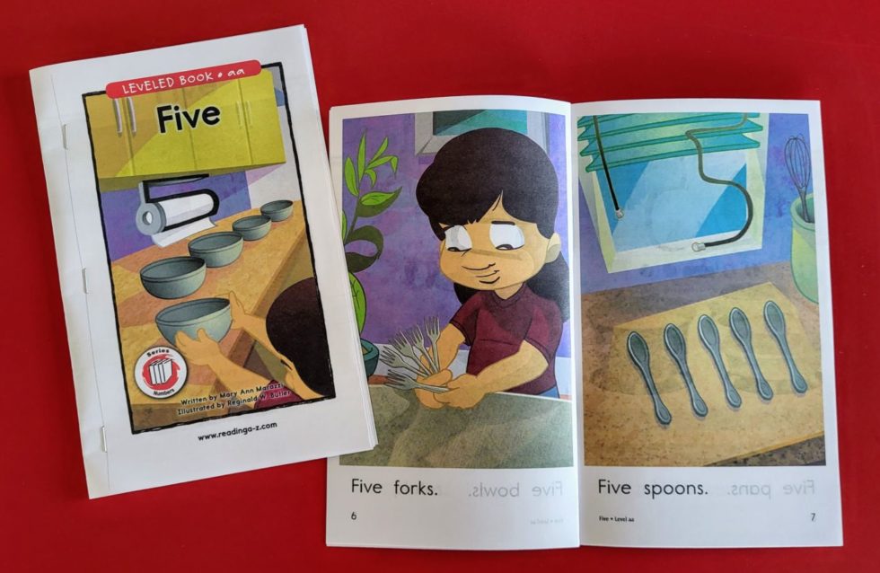 Focus on Five: Number ID and Counting Instruction for Emergent Learners ...