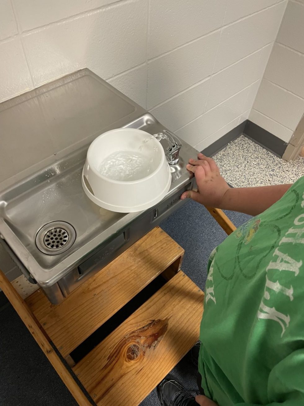 Ollie's Year in Review - The Autism Helper