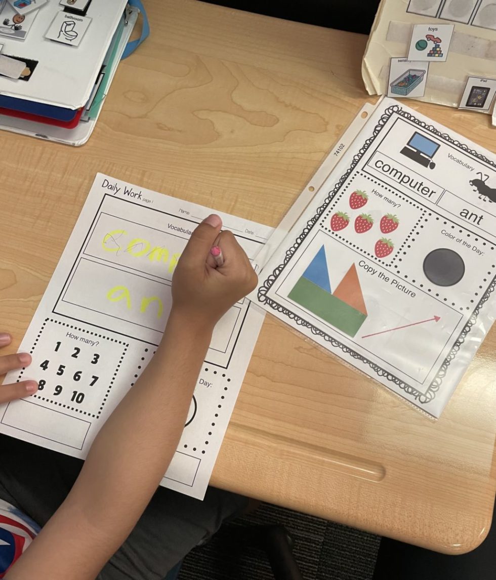 Leveled Daily Work: Level One - The Autism Helper