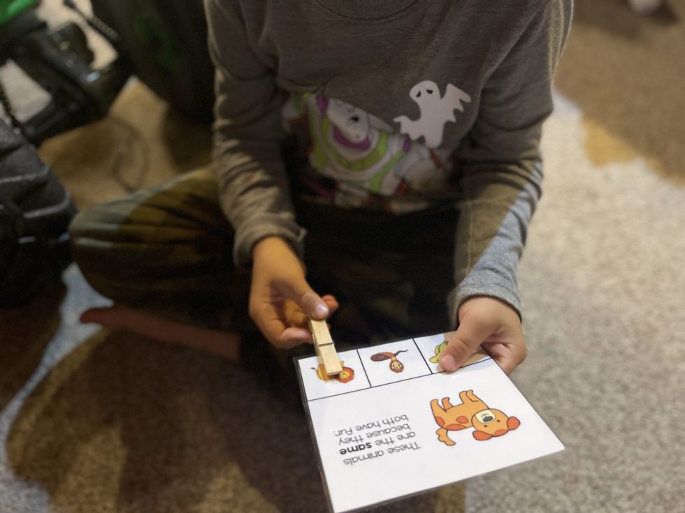 Expressive Language Archives - The Autism Helper