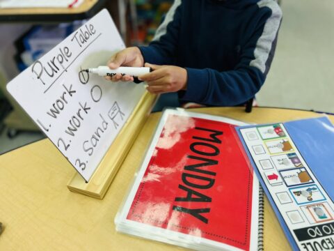 Using Visuals in the Classroom - The Autism Helper