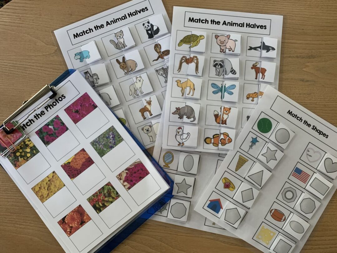 Building up to Complex Matching Skills - The Autism Helper