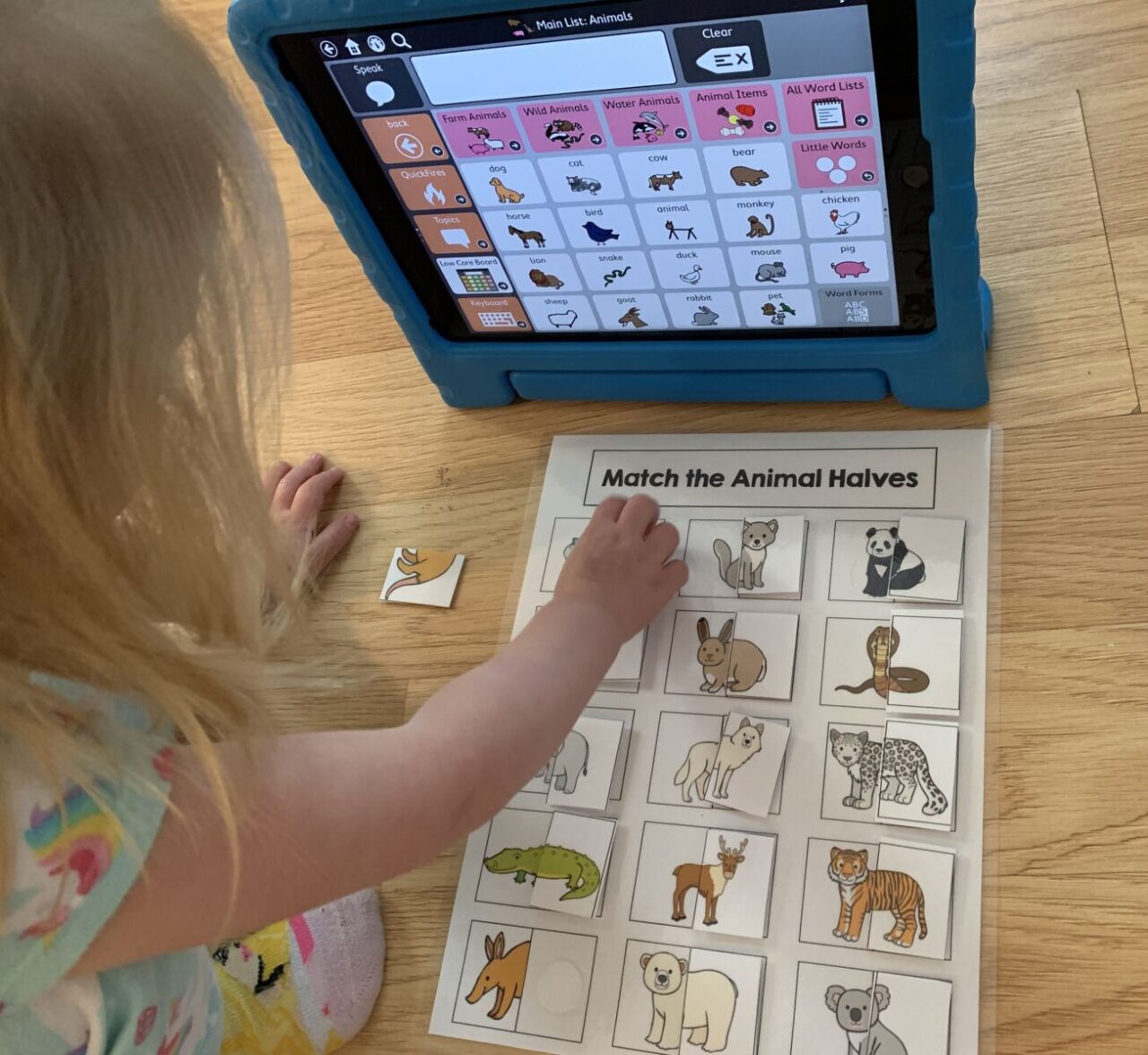 Building up to Complex Matching Skills - The Autism Helper