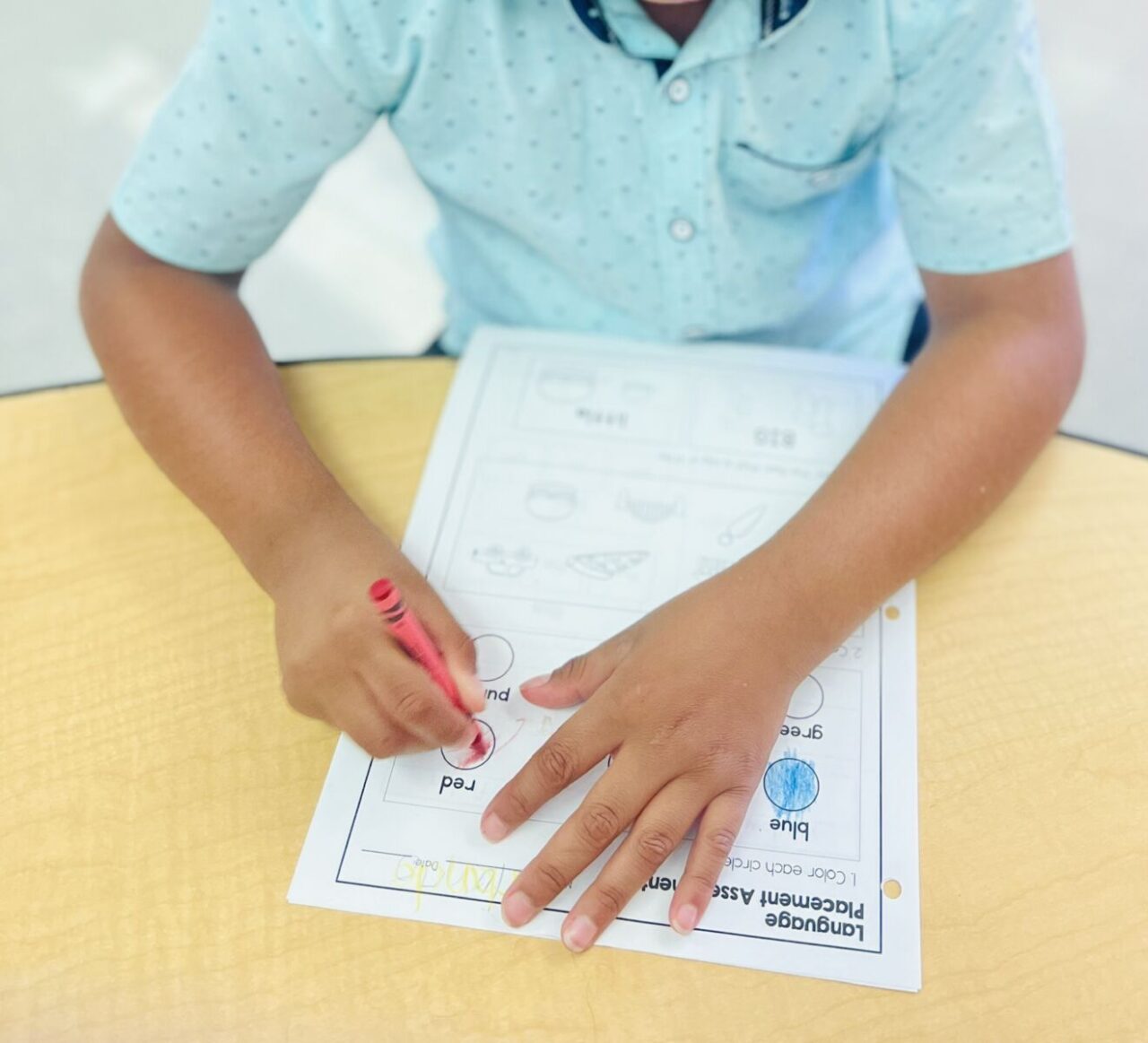 A Peek Inside of Curriculum Access | The Autism Helper