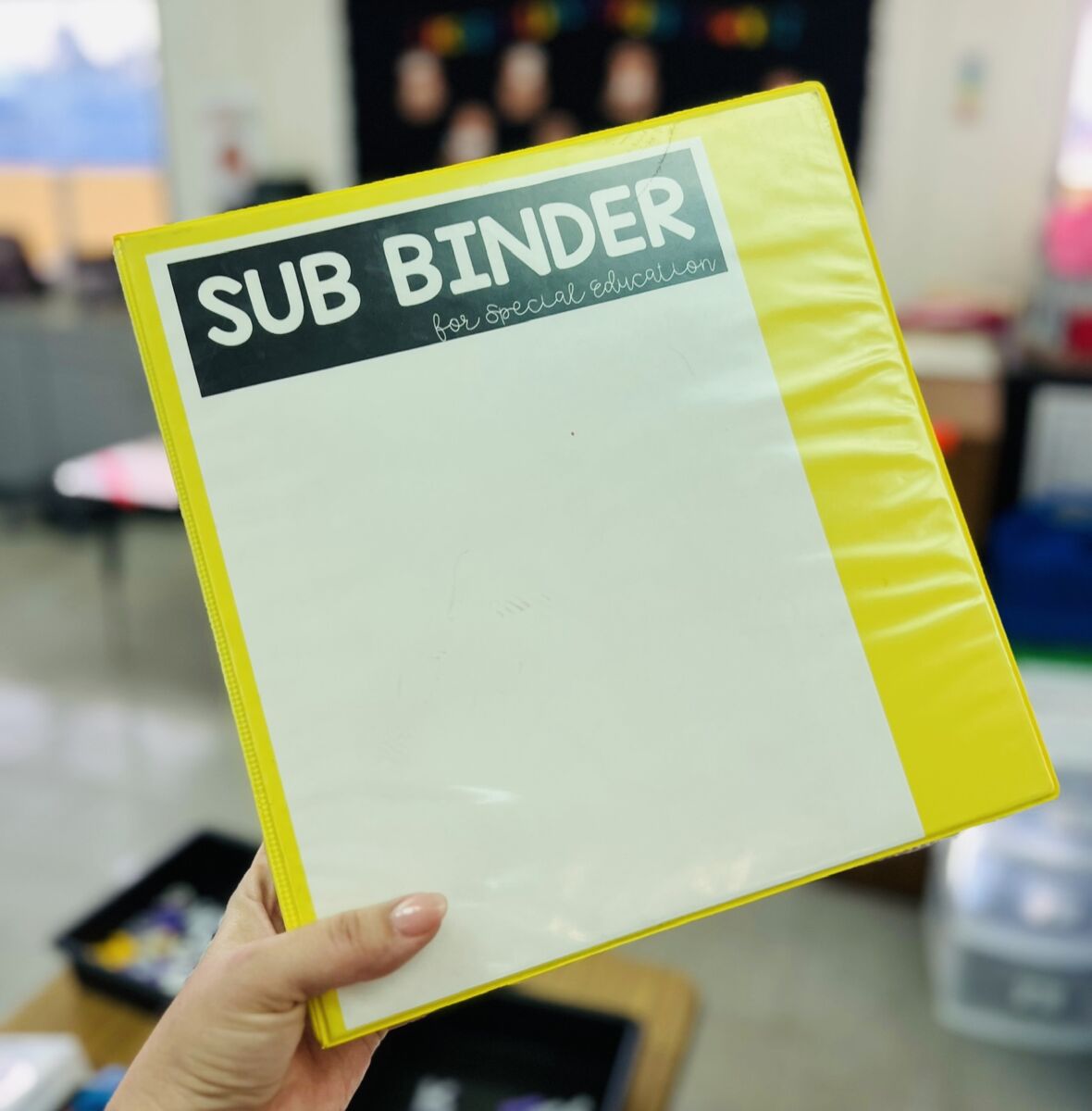 Setting My Sub Up For Success - The Autism Helper