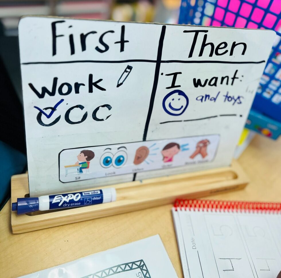 How To: Direct Instruction With Leveled Daily Curriculum - The Autism ...