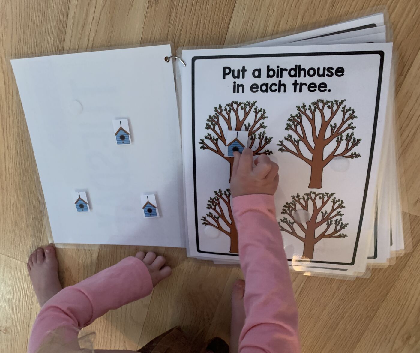 Springtime Sprouts: Learning with The Autism Helper! - The Autism Helper