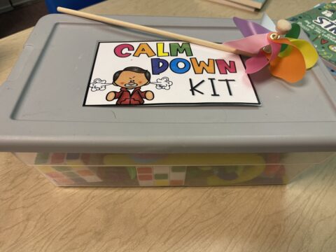 Data Archives - The Autism Helper