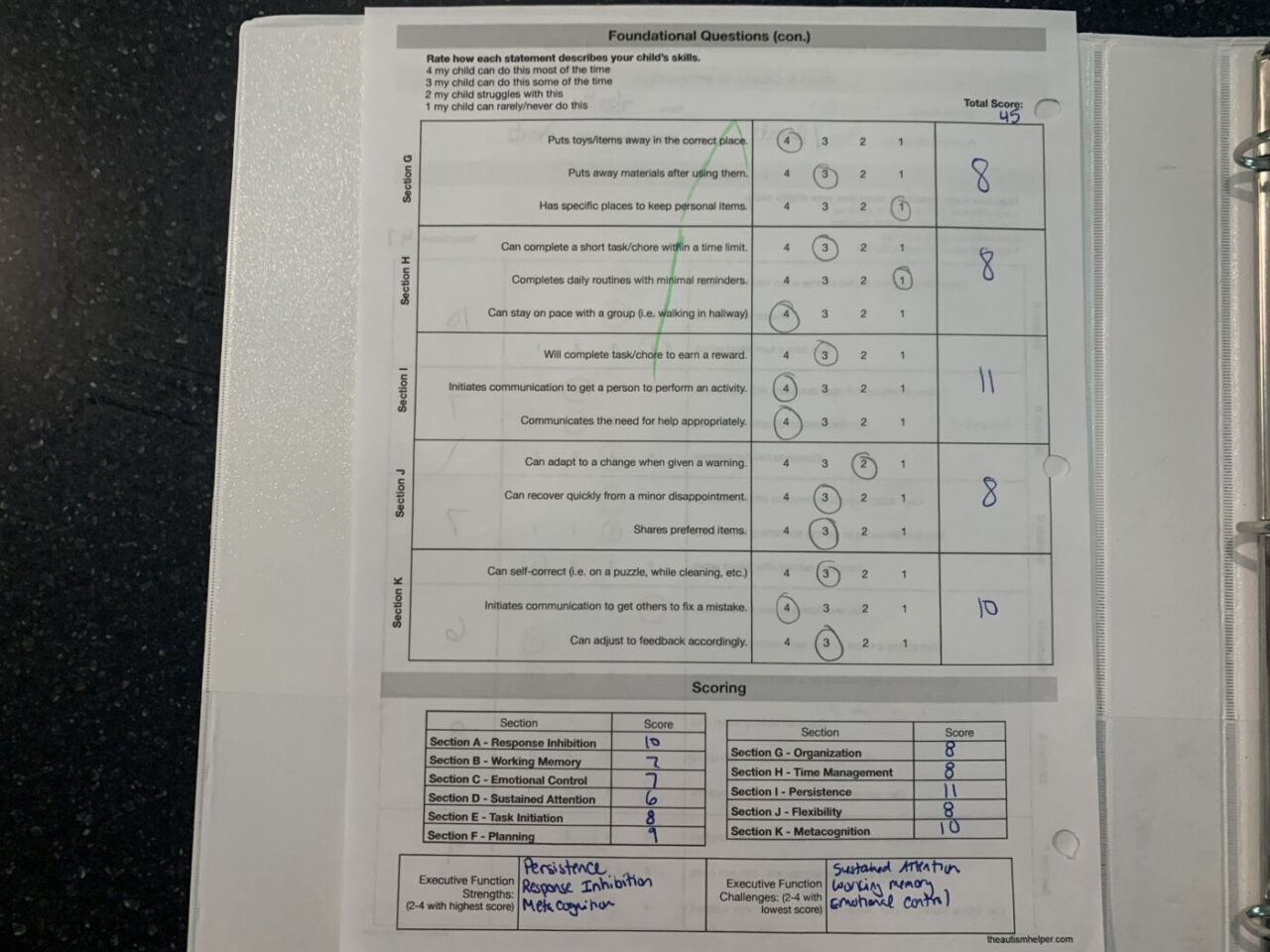 Enhancing Executive Function Development in Children - The Autism Helper