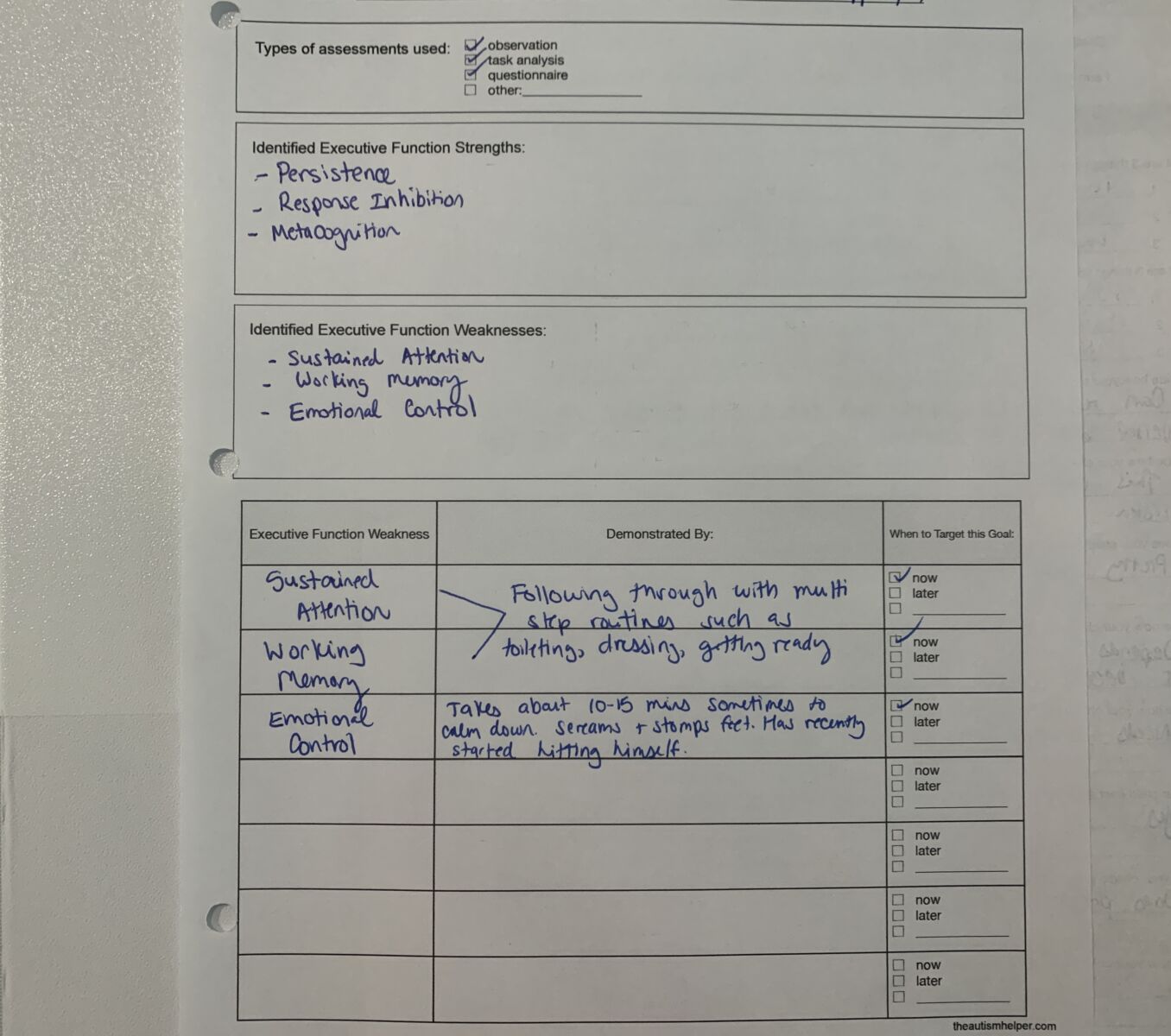 Enhancing Executive Function Development in Children - The Autism Helper