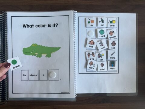 Boosting Literacy with Adaptive Books: Tips for Special Education ...