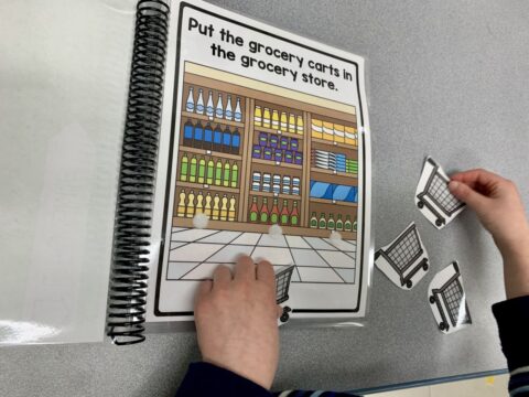 Life Skills 0.5 Curriculum - The Autism Helper