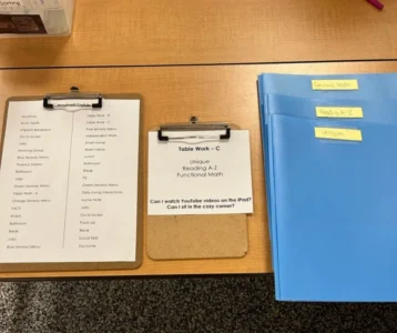 File Folder Activities for Non-Identical Sorting - The Autism Helper